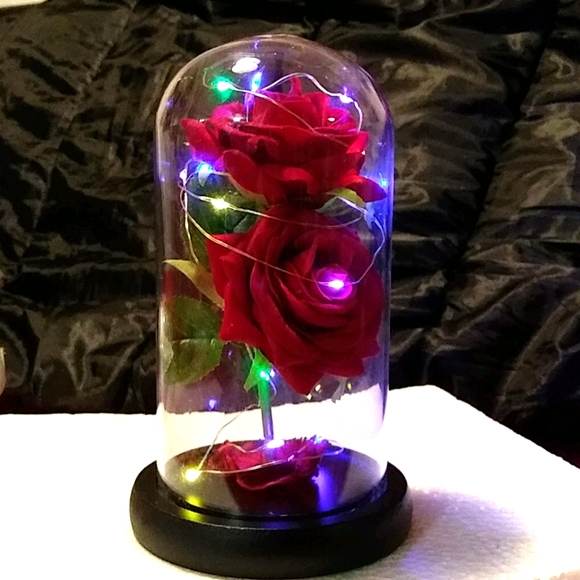 Accents | Double Red Rose Led W A Glass Dome | Poshmark